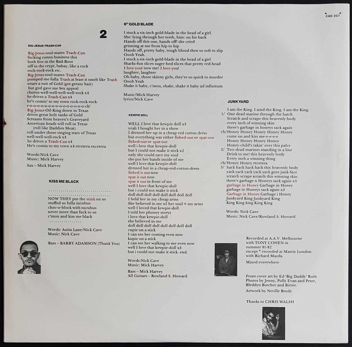 Birthday Party - Junkyard – Vicious Sloth Collectables