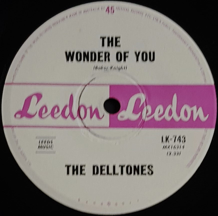 Delltones - Hey Girl, Don't Bother Me – Vicious Sloth Collectables