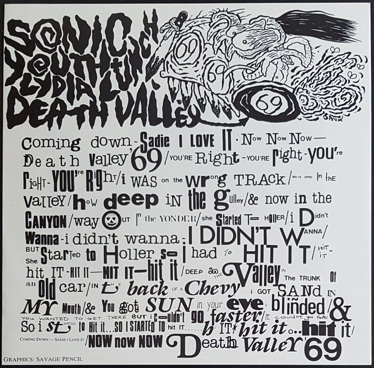 Sonic Youth - Death Valley '69 – Vicious Sloth Collectables