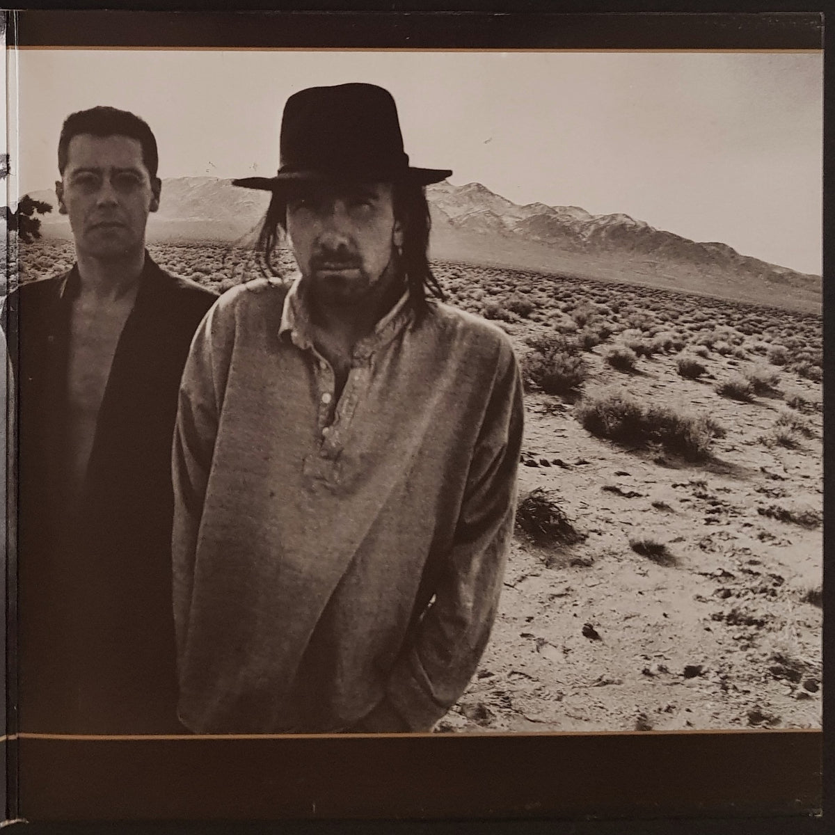 U2 - The Joshua Tree – Vicious Sloth Collectables