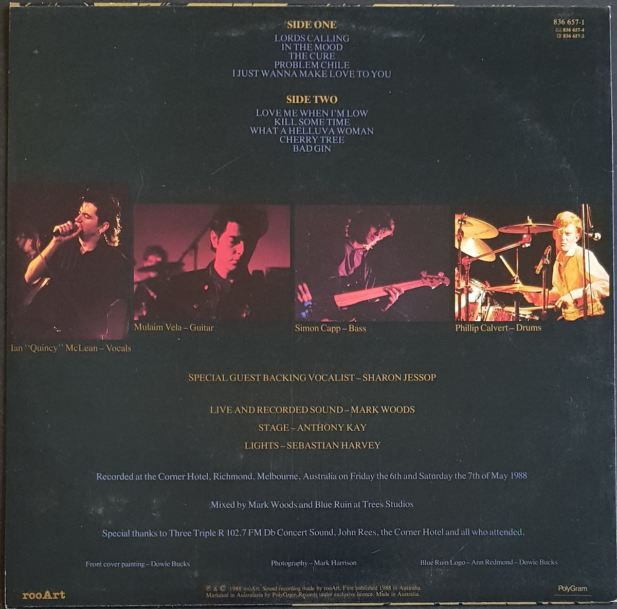 Blue Ruin - Strange Things In The Corner – Vicious Sloth Collectables