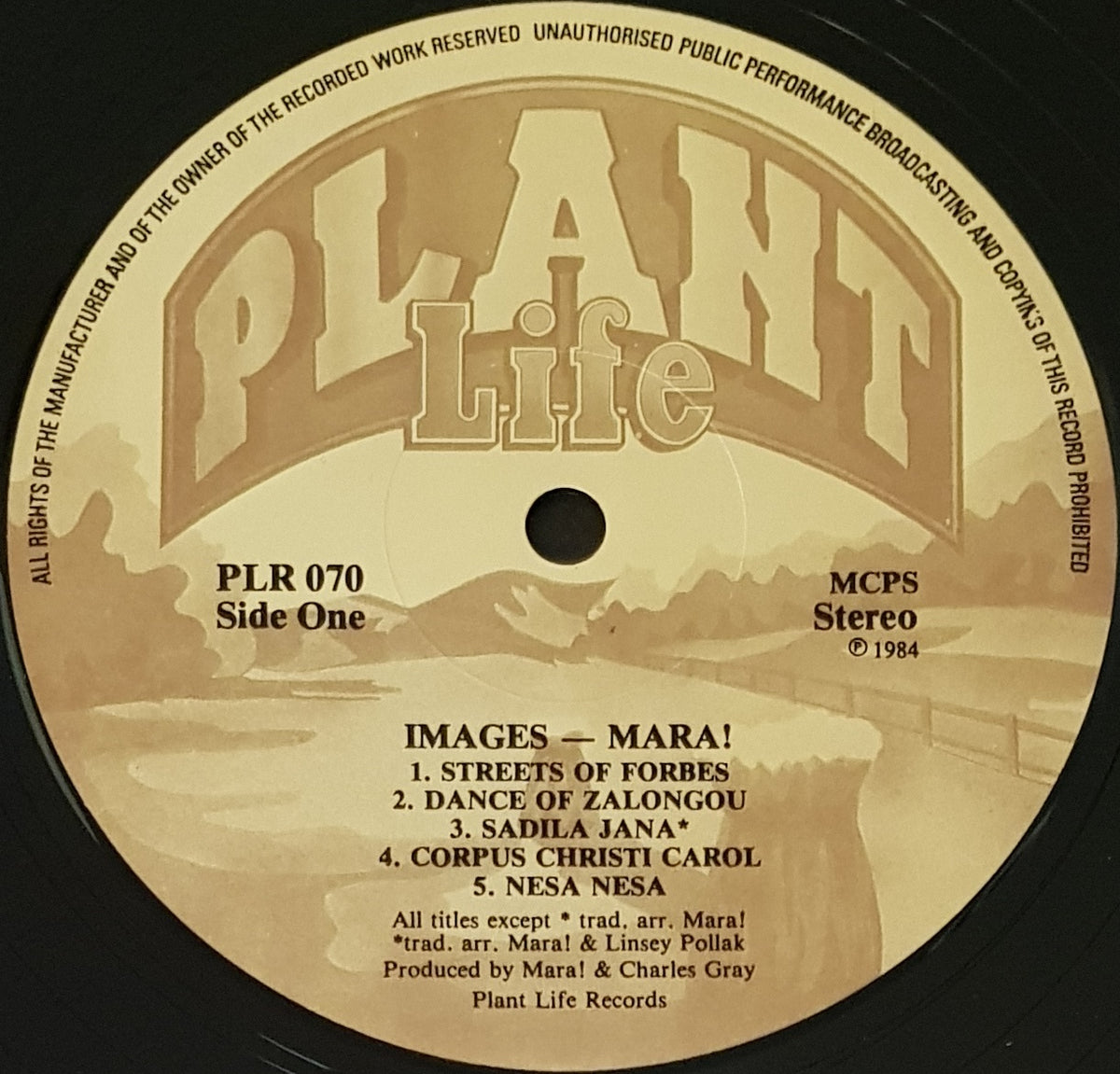 Tansey's Fancy ( Mara)- Images – Vicious Sloth Collectables