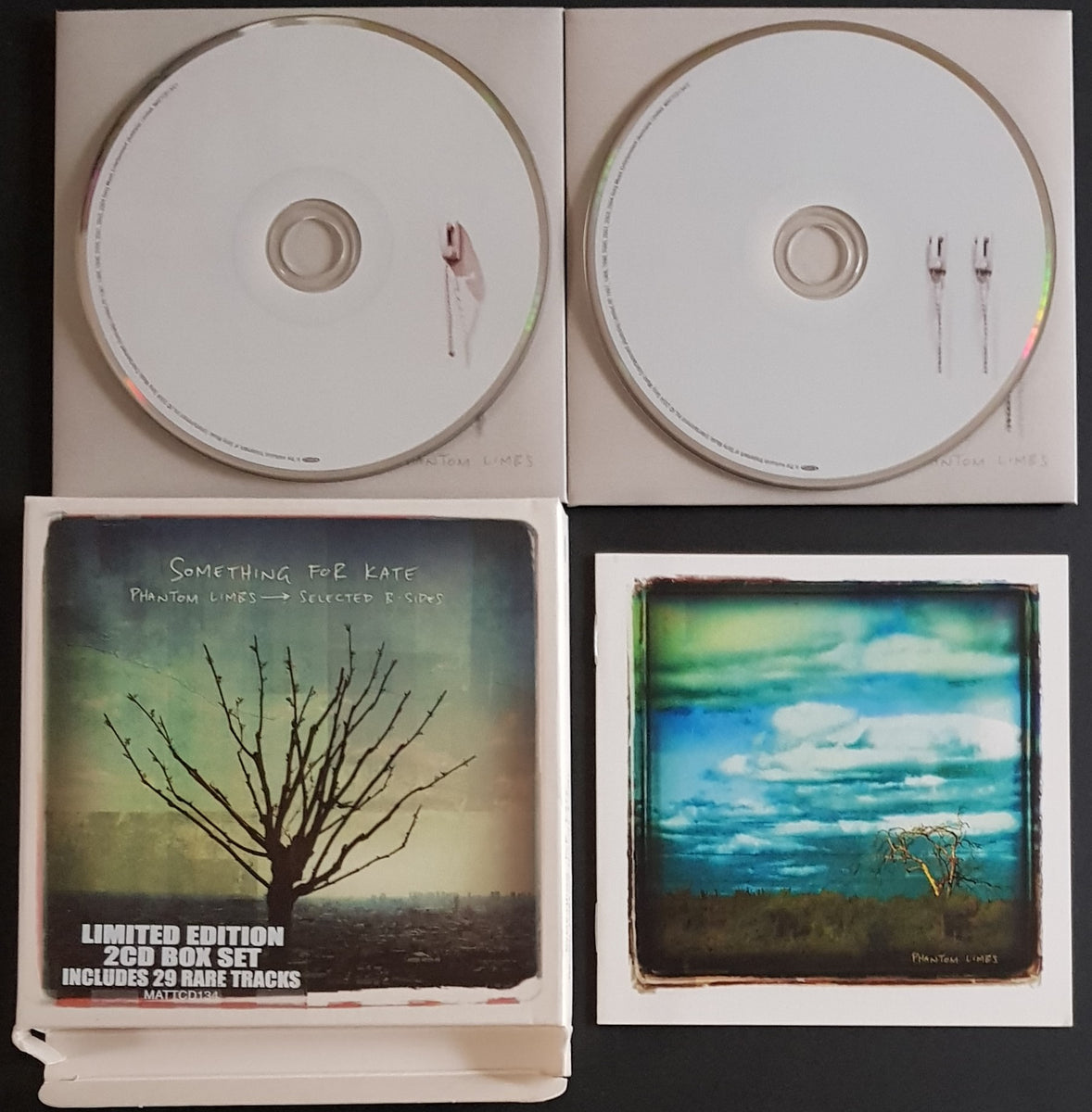 Something For Kate - Phantom Limbs - Selected B-Sides – Vicious Sloth ...