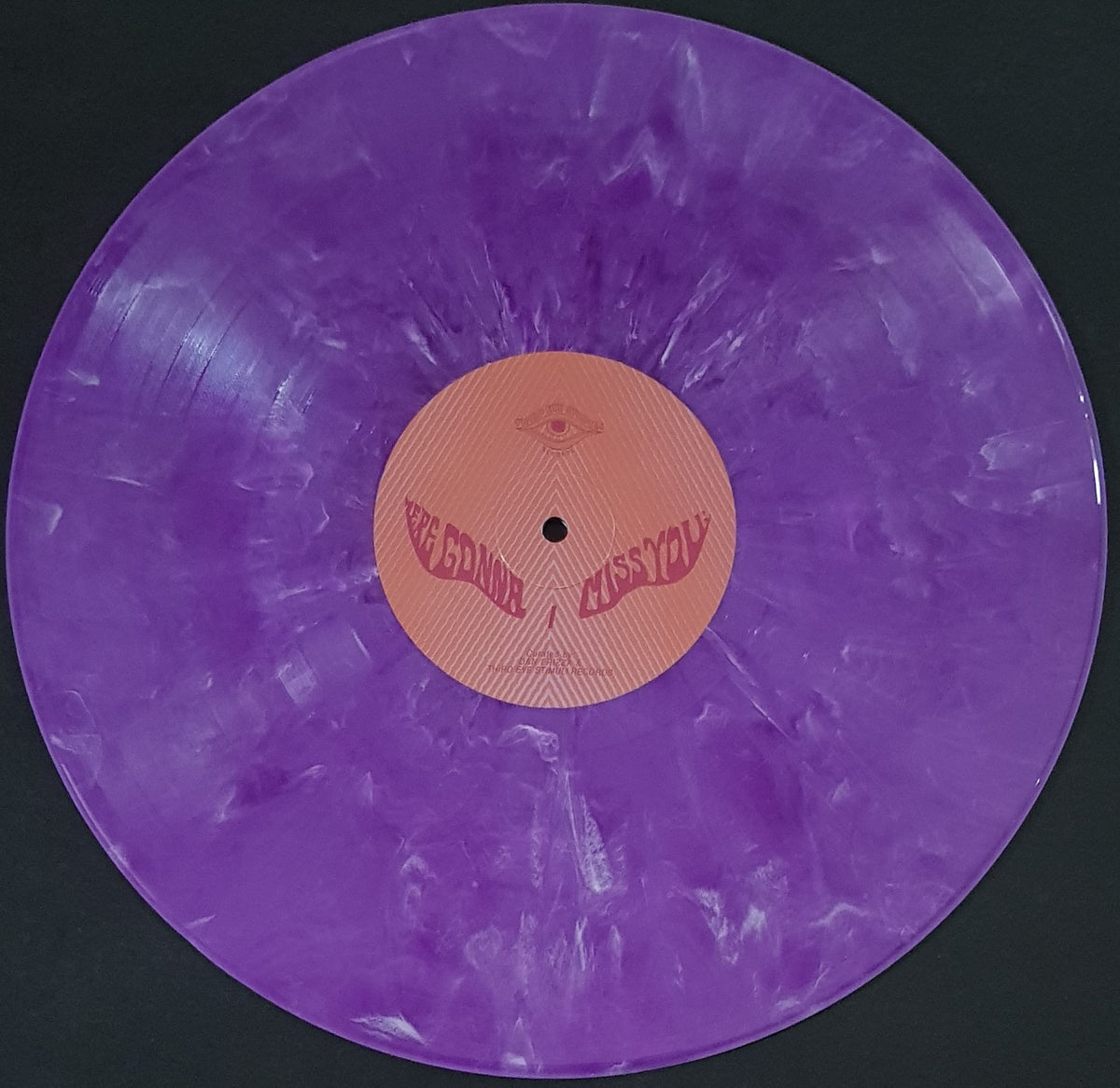 13th Floor Elevators - V/A - We're Gonna Miss You – Vicious Sloth ...